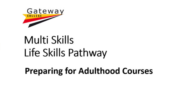 Multi Skills and Life Skills Pathway – Gateway College